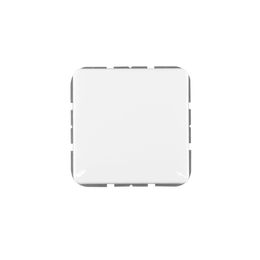 Jung CD 500 Blindabdeckung (CD 594-0WW)