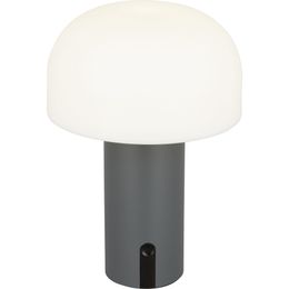 toom Akku-LED-Tischleuchte 'Ali' grau mit USB-Kabel &Oslash; 15 x 22 cm