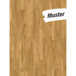 PARADOR Handmuster zum Parkett 'Basic 11-5' Natur Eiche lackversiegelt matt 11,5 mm