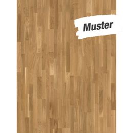 PARADOR Handmuster zum Parkett 'Basic 11-5' Eiche Rustikal lackversiegelt matt 11,5 mm
