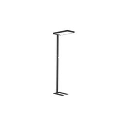 hjh OFFICE Stehlampe LUMANOVA Aluminium / PMMA