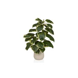 hjh OFFICE Kunstpflanze Ficus 3 Kunststoff, Eisen
