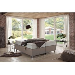 Boxspringbett "London in den Breiten 160x200, 180x200cm & 200x200cm", pepper, B:160cm L:200cm, Westfalia Schlafkomfort, Komplettbetten, Optional mit Topper