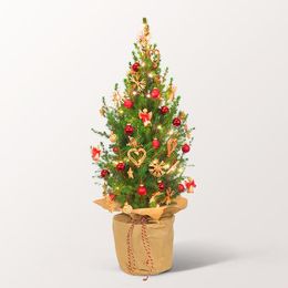 Weihnachtsbaum Weihnachtsstrahlen mit Lichterkette &