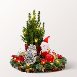 Arrangement Santa mit Lichterkette &