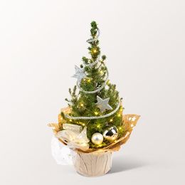 Weihnachtsbaum Sternenglanz mit Lichterkette &