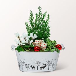 H&uuml;bsches Winter-Arrangement