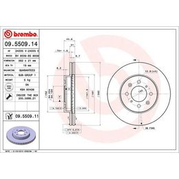 Brembo Bremsensatz-Vorderachse COATED DISC LINE / STANDARD IJZJSGFCX6 Bremsensatz, Scheibenbremse vorne rechts links innenbel&uuml;ftet 262mm f&uuml;r ACURA MG
