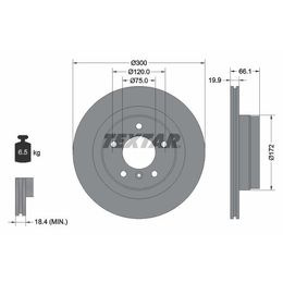 TEXTAR Bremsscheibe PRO hinten rechts links innenbel&uuml;ftet 300mm f&uuml;r BMW 34216855007 6855007 34216764651 92133003