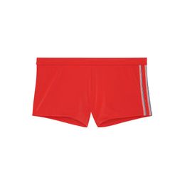 HOM Badeshorts Nautical Cup in red | Gr.: M