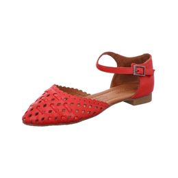 Piazza Slipper in rot | Gr.: 41