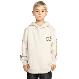 Hoodie DC Shoes "Hot Box", Jungen, Gr. 14(155-164cm), beige (pelican), 55% Baumwolle, 25% Baumwolle, 20% Polyester, Sweatshirts