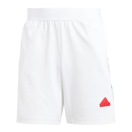 adidas Sportswear Workout Pants 'House of Tiro Nations' male White size M