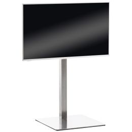 CLP TV St&auml;nder f&uuml;r 55-57 Zoll VESA 100x100 bis 600x400, stabiler universal Standfu&szlig;, Fernseher belastbar bis 40KG