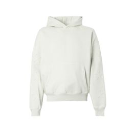 Hollister Sweatshirt Herren Gr&ouml;&szlig;e L kitt