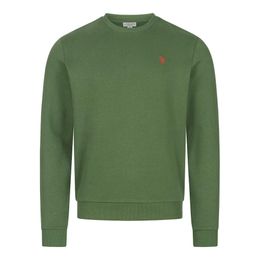 U.S. Polo Assn. Sweatshirt male Green size 3XL