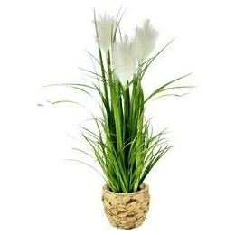 Kunstpflanze I.GE.A. "Pampasgras", wei&szlig;, B:22cm H:80cm L:22cm, Kunstpflanzen, Kunstpflanze, Mit &Uuml;bertopf, k&uuml;nstliches Pampas Gras