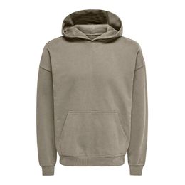 Only & Sons Only & Sons Sweatshirt 'ONSLUCAS' male Grey size S
