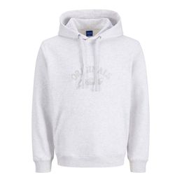 Jack & Jones Jack & Jones Sweatshirt 'JORBLeecker' male Grey size S