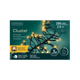 Lumineo Lichterkette CLUSTER 288 LED 2,6 m, schwarzes Kabel in klassisch warm | Gr.: onesize