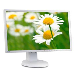 Bildschirm 23" LED FHD EIZO FlexScan EV2316W