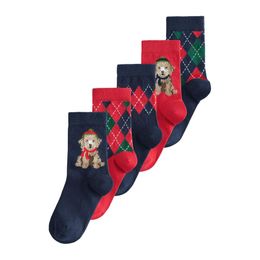 next Socken Jungen Gr&ouml;&szlig;e 26.5/30.5 navy / hellbraun / dunkelgr&uuml;n / feuerrot