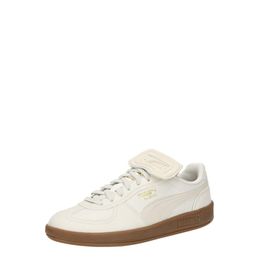 Puma Sneaker 'Palermo Premium' Herren Gr&ouml;&szlig;e 35.5 ecru / hellbeige