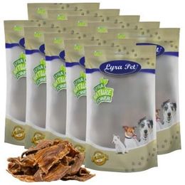 LYRA PET Dörrfleisch Chips 4 - 10 cm 10 kg