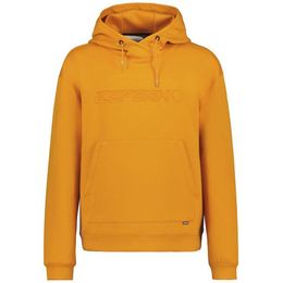 Icepeak Clarion M - Hoodie - Herren