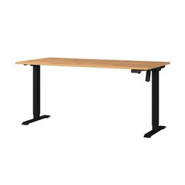 Tchibo - Elektrischer Schreibtisch »Profi« - 160x80x119cm - schwarz - Holz / Metall