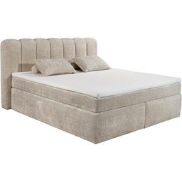 ED EXCITING DESIGN Boxspringbett »Gibsons« taupe
