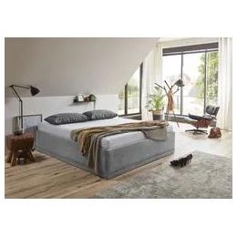 Polsterbett "Texel", grau, B:166cm H:42cm L:206cm, Bezug Bett: Veloursstoff 100% Polyester oder Microfaser (100% Polyester);Bonnell-Federkernmatratze: 51% Polypropylen, 39% Polyester und 10% Baumwolle;Kaltschaummatratze: 100% Polyester, Bezug abnehm- und waschbar bis 60C;Kissenbezug: 100% Polyester, F&uuml;llung : 100% Polyester (Hohlfaser), Westfalia Schlafkomfort, Betten, Polsterbett, Komforth&ouml;he mit