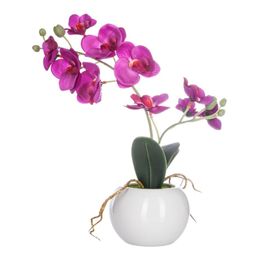 Atmosphera Créateur d'intérieur Künstliche Orchidee in rosa | Gr.: onesize