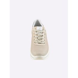 Heine Sneaker in taupe | Gr.: 37