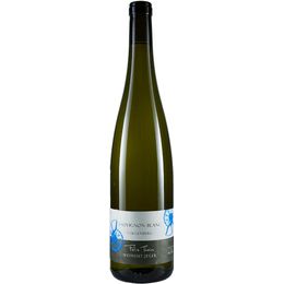 Weingut Jeger - Barrique Sauvignon Blanc 2021 Trocken Mosel – Weißwein Qualitätswein