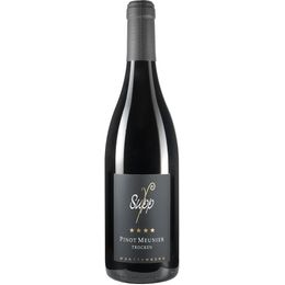 Weingut Supp Pinot Meunier **** 2018 Trocken - W&uuml;rttemberg &ndash; Rotwein Qualit&auml;tswein