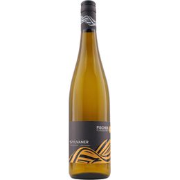 Weingut Fischer Sylvaner -Alte Reben- "Wildfang" Silvaner 2021 Trocken - Franken &ndash; Wei&szlig;wein Qualit&auml;tswein