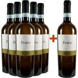 Cantina Cardeto 5+1 Paket Febeo Orvieto Classico Cuv&eacute;e 2021 Trocken - Umbrien &ndash; Probierpaket DOC