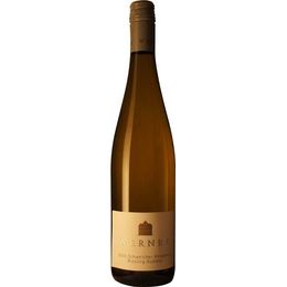 Weingut Werner "wurzelecht" Riesling 2019 Lieblich - Trittenheimer Apotheke Mosel &ndash; Wei&szlig;wein Auslese