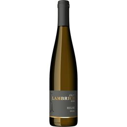 Weingut Albert Lambrich Riesling 2025 S&uuml;&szlig; - Oberweseler R&ouml;merkrug Mittelrhein &ndash; Wei&szlig;wein Sp&auml;tlese