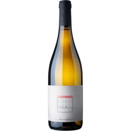 Cervinago Bianco Greco Calabria 2018 Trocken - Kalabrien &ndash; Wei&szlig;wein IGP