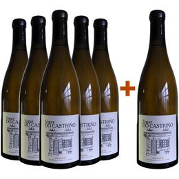 Alberto Nanclares Pack Descuento 5+1 Fogar do Castriño Rías Baixas DO Albariño 2021 Trocken - Galicien – Probierpaket DOP