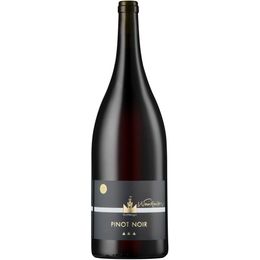 Weingut Weinreuter Pinot Noir *** "GR" unfiltriert Sp&auml;tburgunder 2018 Trocken - Leingarten Grafenberg W&uuml;rttemberg &ndash; Rotwein Qualit&auml;tswein