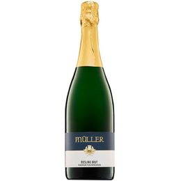 Weingut Axel M&uuml;ller Weingut Axel M&uuml;ller Sekt brut Riesling Brut - Rheinhessen &ndash; Perl- & Schaumwein b.A.