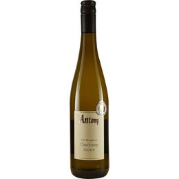 Weingut Antony Hasensprung Chardonnay 2022 Trocken - Bechtheimer Rheinhessen &ndash; Wei&szlig;wein Qualit&auml;tswein