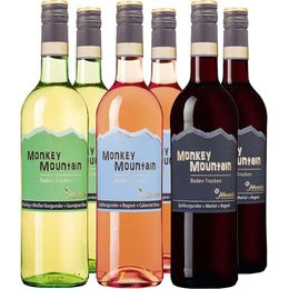 Affentaler Winzer Monkey Mountain Trocken - Baden &ndash; Probierpaket Qualit&auml;tswein