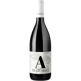 Amandum Friuli Isonzo Pinot Nero 2019 Trocken - Friaul &ndash; Rotwein DOC