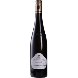 Weingut Schloss Sommerhausen STEINBACH - Alttenberg 1172 VDP.GROSSES GEWÄCHS Silvaner 2019 Trocken Sommerhäuser Steinbach Franken – Weißwein VDP.Groß
