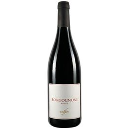 Delaiti Borgognoni Rosso Vigneti delle Dolomiti Cuvée Trocken - Trentino – Rotwein IGP