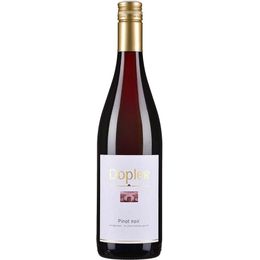 Weingut Dopler Pinot Noir Blauer Sp&auml;tburgunder 2021 Trocken - Nieder&ouml;sterreich &ndash; Rotwein Qualit&auml;tswein